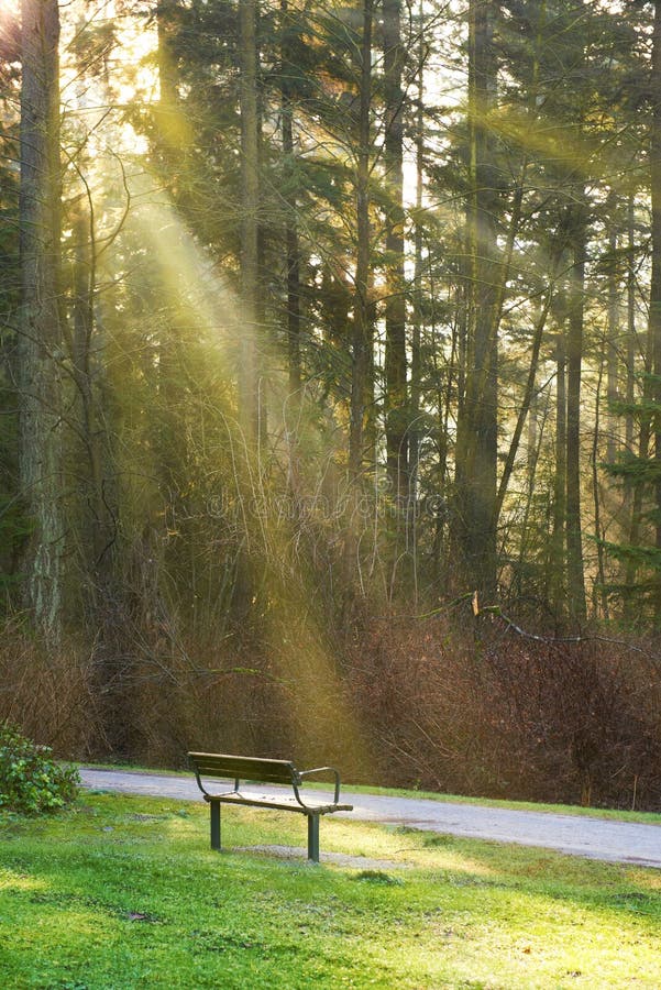 Bench on the Road in Green Park Stock Image - Image of park, landscape ...