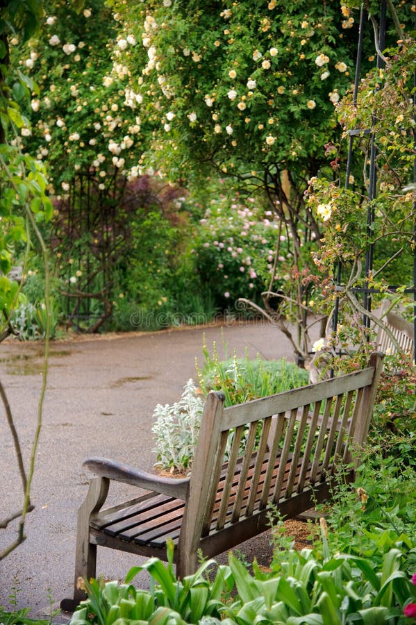 Bench in rose garden stock photo. Image of park, flora - 19743750