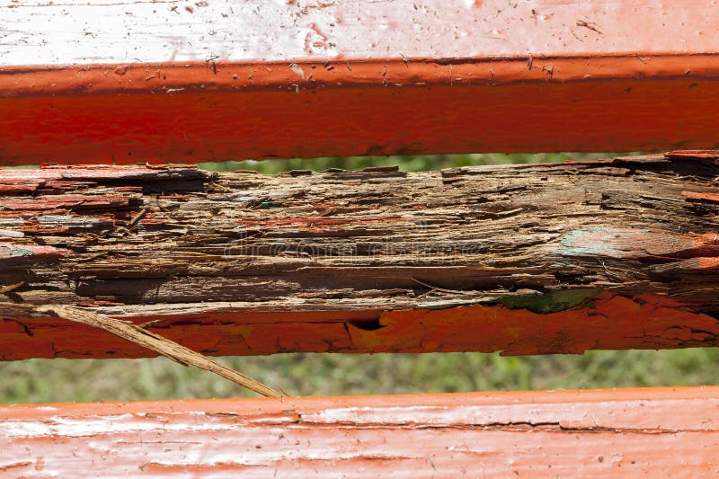 Old rotten bench stock photo. Image of detail, conifers - 101662664