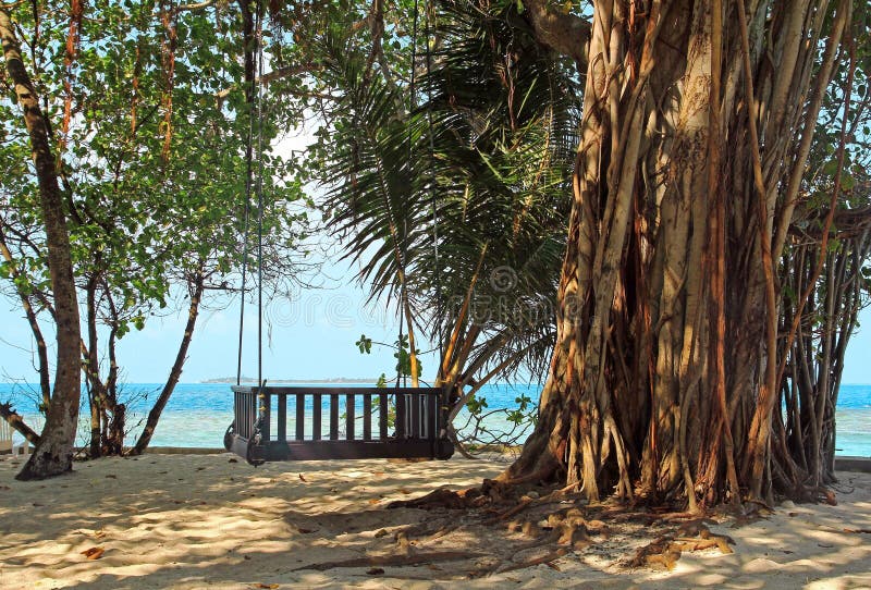 The bench stock image. Image of coconut, bench, relaxation - 44768733