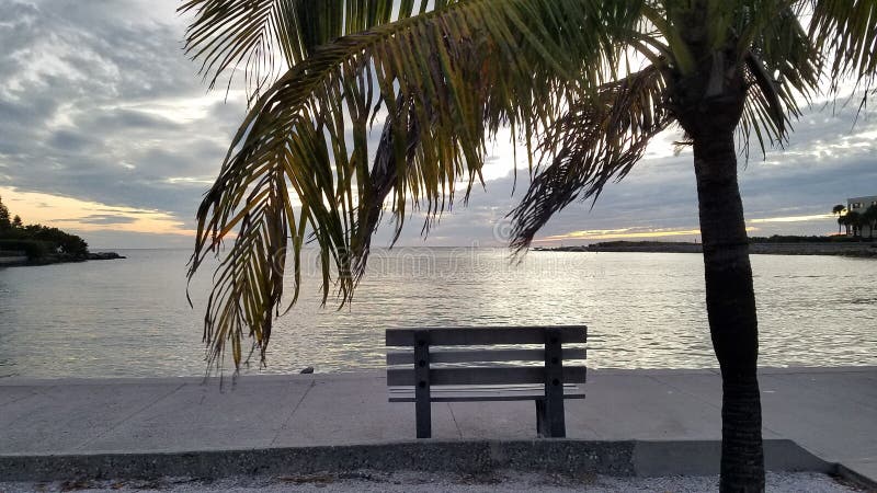 Bench on the Seashore in Florida Stock Photo - Image of country ...