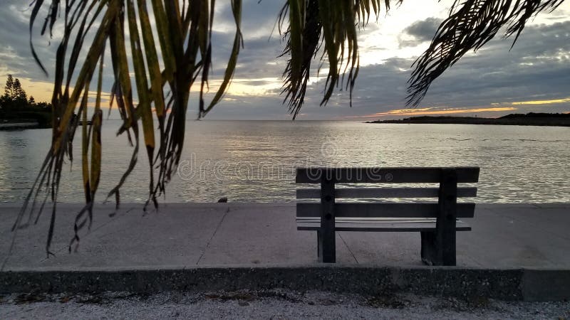 Bench on the Seashore in Florida Stock Image - Image of scene, sunset ...