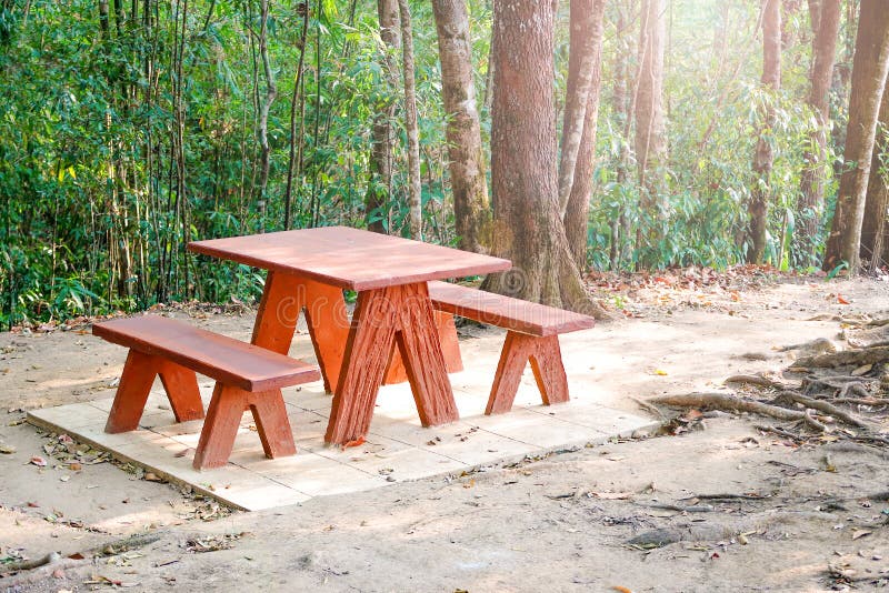 Bench set in the forest stock image. Image of garden - 145829963