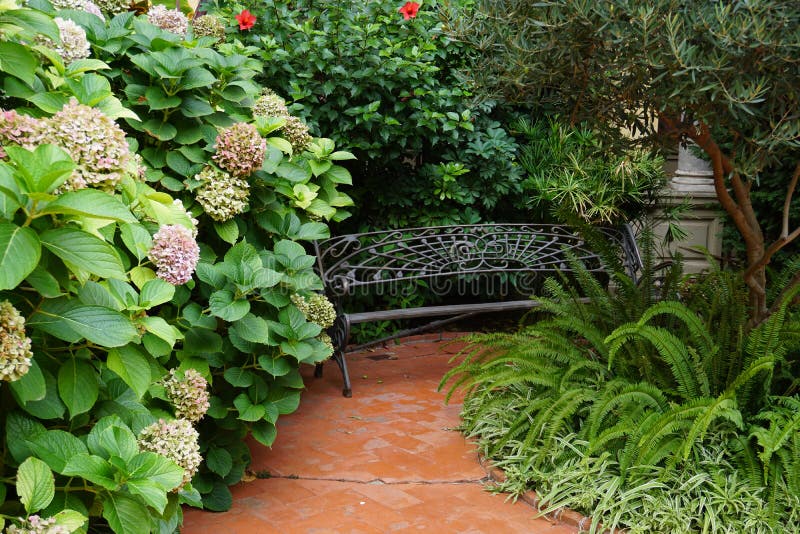 Bench Set on Path Amongst Greenery Featuring Flowers in Bloom in Garden ...