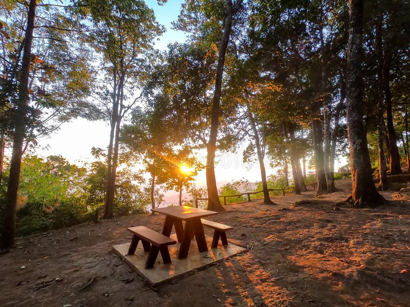 Bench Set at View Point in the Forest Stock Photo - Image of point ...