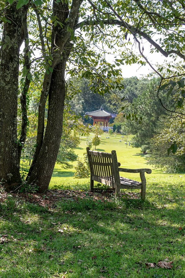 Bench in the Shade of a Tree Overlooking an Asian Pergola in the Park ...