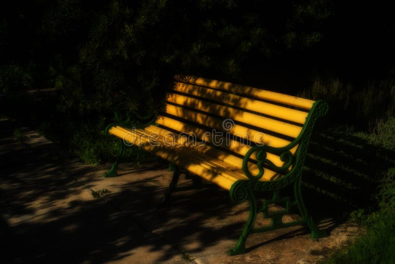 A Bench in the Shade Under a Tree Stock Image - Image of solitude ...