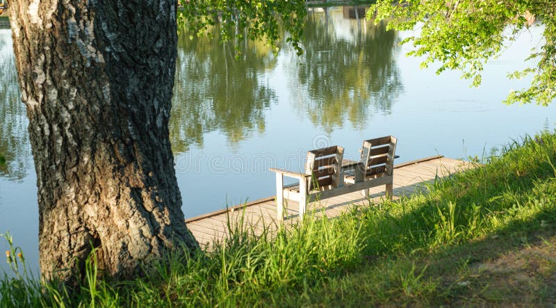 Bench on the Shore of a Pond Stock Image - Image of season, park: 323913243