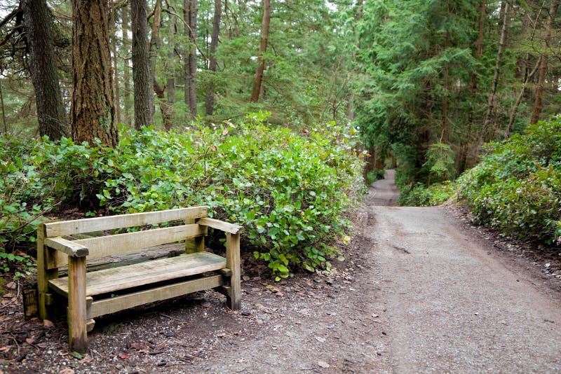 Bench by Side of Nature Path Stock Photo - Image of trees, beautiful ...