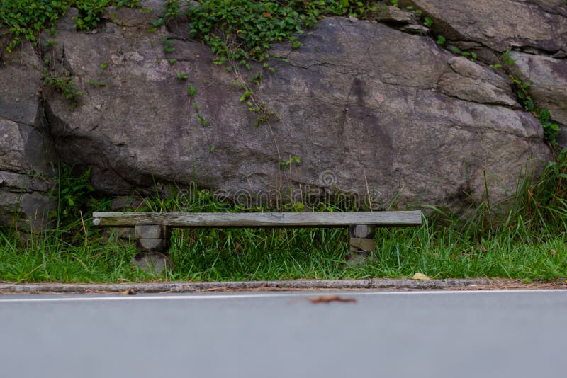 A Bench on the Side of the Road Stock Image - Image of background ...