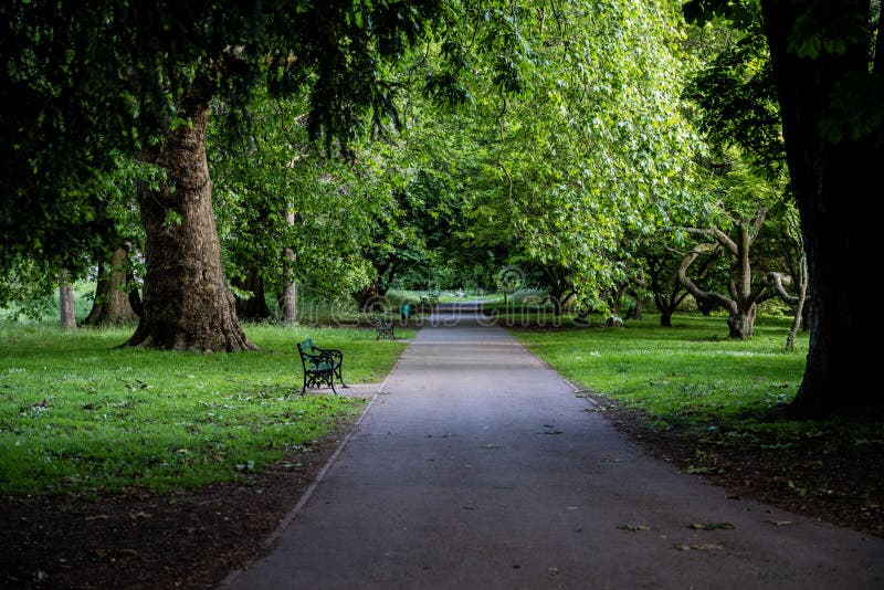 Bench on the Side of the Road in the Park Stock Photo - Image of ...