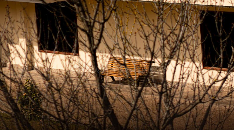 A Bench is Sitting in Front of a Building with Bare Branches. Stock ...