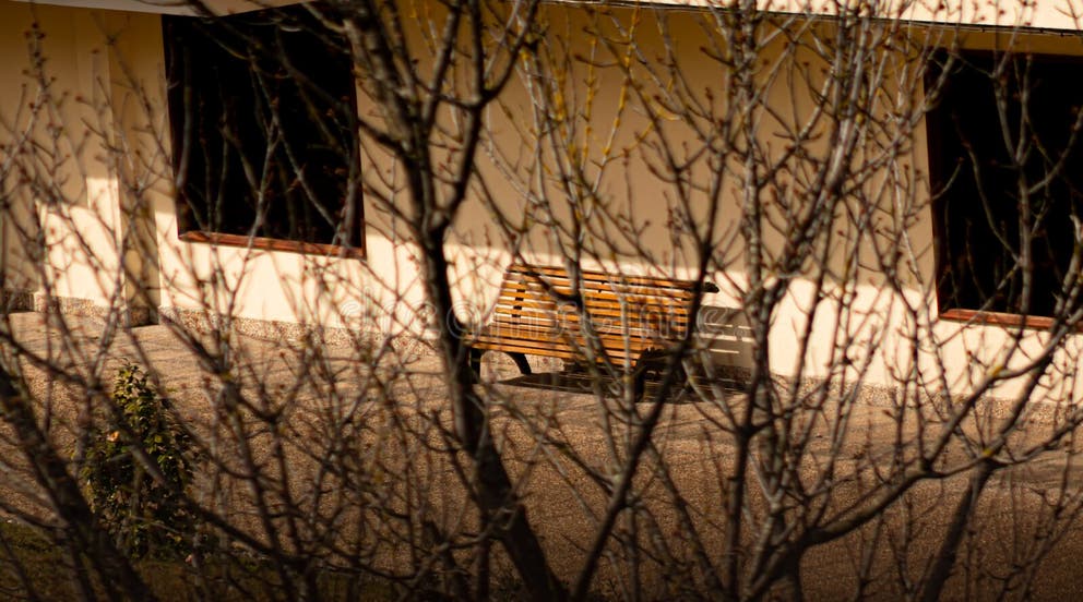 A Bench is Sitting in Front of a Building with Bare Branches. Stock ...