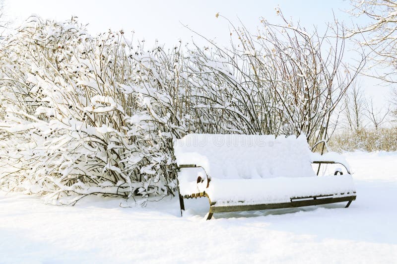 Bench in snow stock photo. Image of snowfall, cold, bench - 18540112