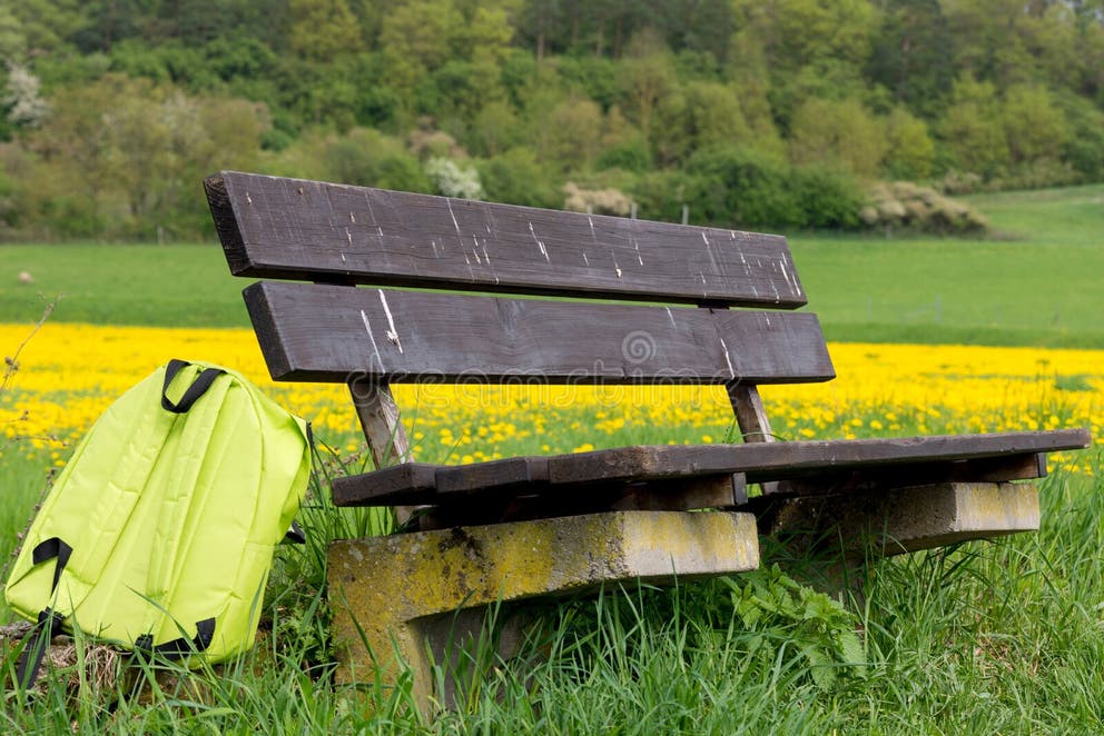 Bench in spring stock photo. Image of pause, hiking, bench - 40697486