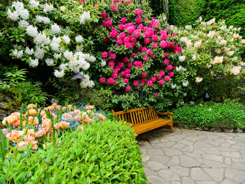 Bench in spring garden stock image. Image of landscape - 165869941
