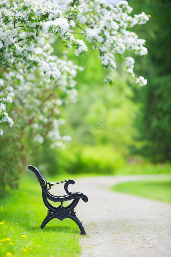 Bench in the spring garden stock image. Image of finland - 114740863