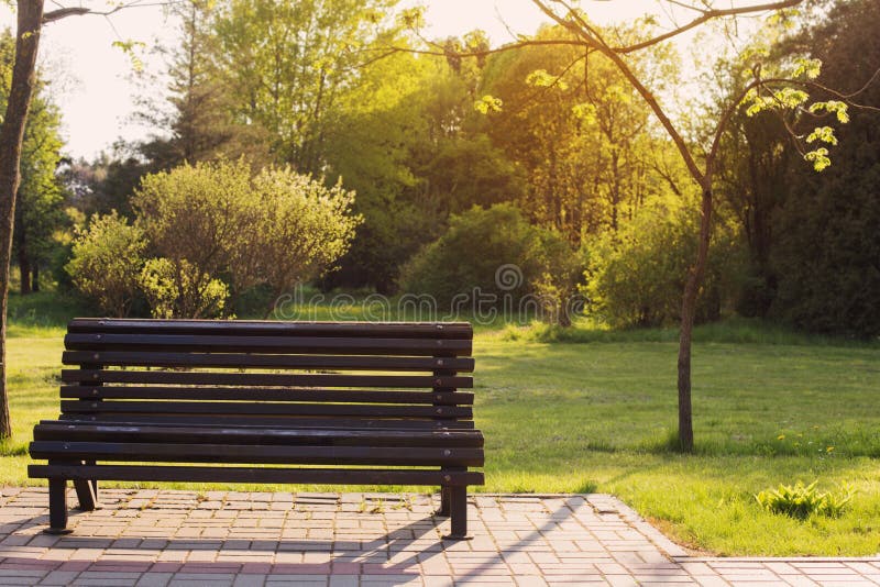 Bench in spring park stock photo. Image of spring, summer - 85025294