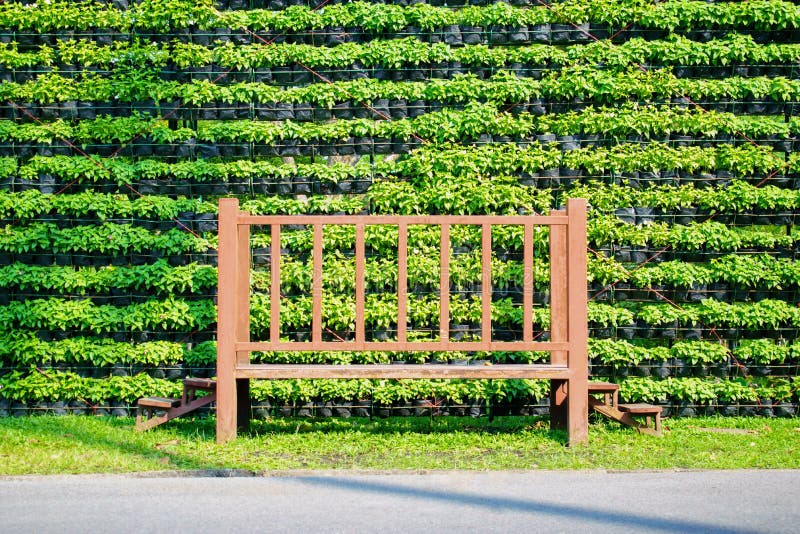 Bench Standing in Front of an Tree Wall Stock Photo - Image of decor ...