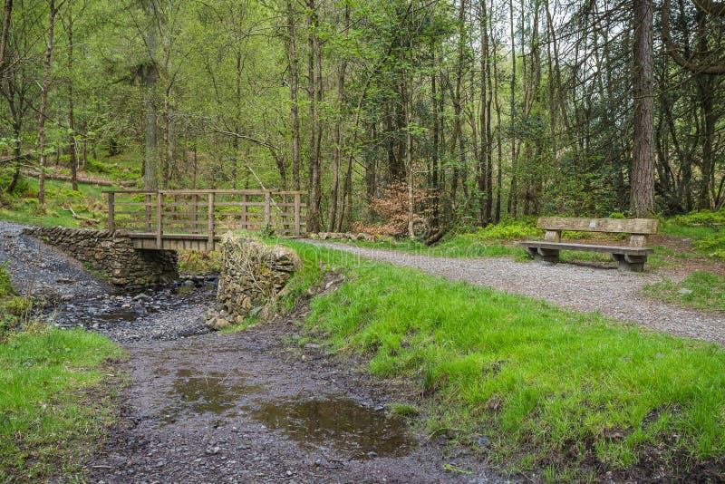 Bench beside a Stream in the Lake District Stock Photo - Image of ...