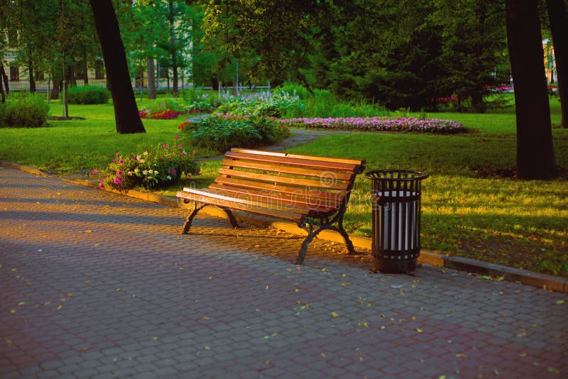 Bench in the Summer Park Beautifully Illuminated by the Setting Sun ...