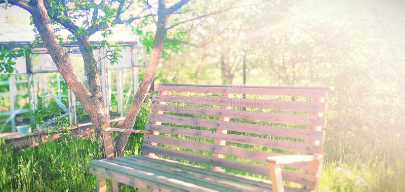 Bench in the sun stock photo. Image of village, sunshine - 235710450