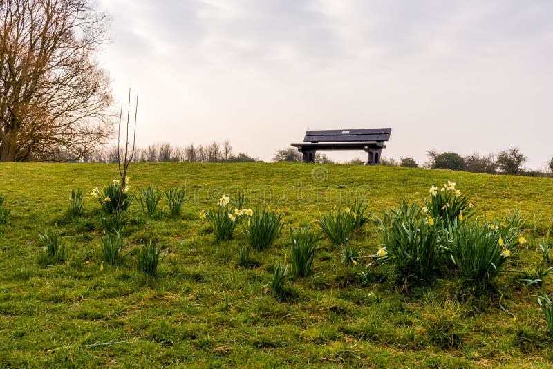 Bench at sunrise in park stock photo. Image of calm, field - 69004904