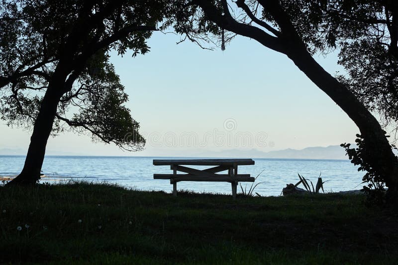 Bench and a Table on Seaside Beach in the Shadow of Trees Stock Image ...
