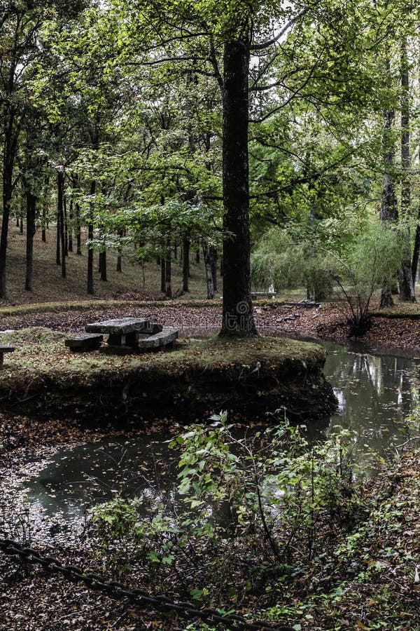 Bench and Table Under a Tree Near a Pond Stock Photo - Image of comfort ...