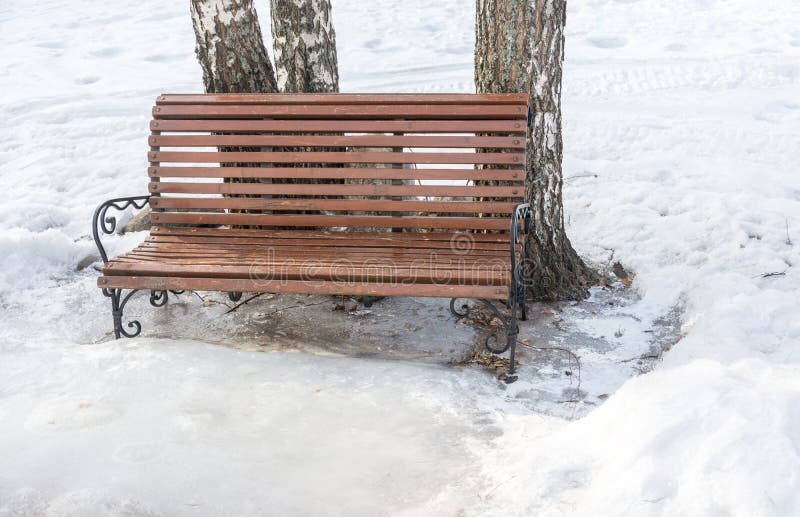A bench to rest. stock photo. Image of sits, park, snow - 53519670