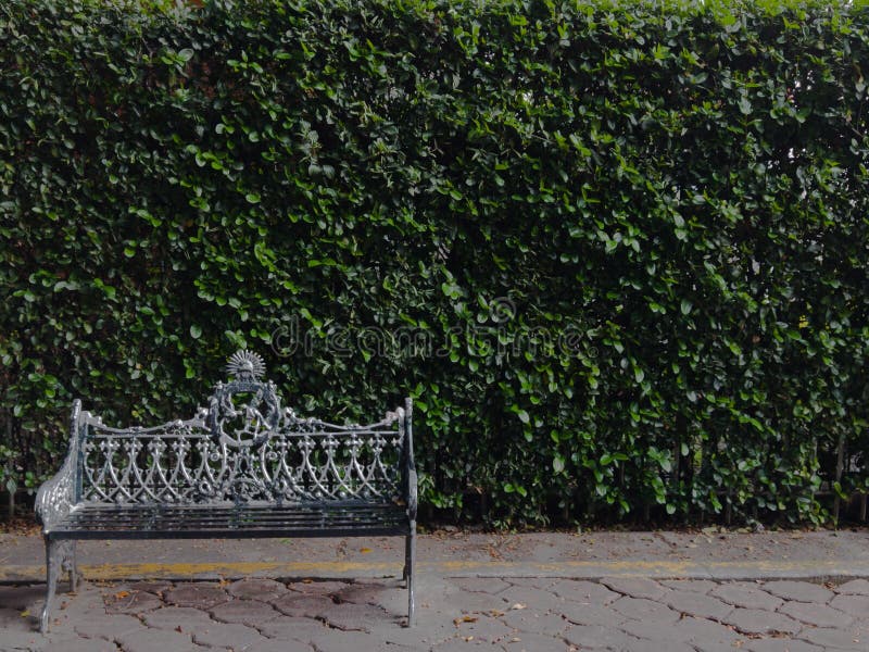 Bench To Rest Wall of Plants Stock Image - Image of wall, flower: 223393743