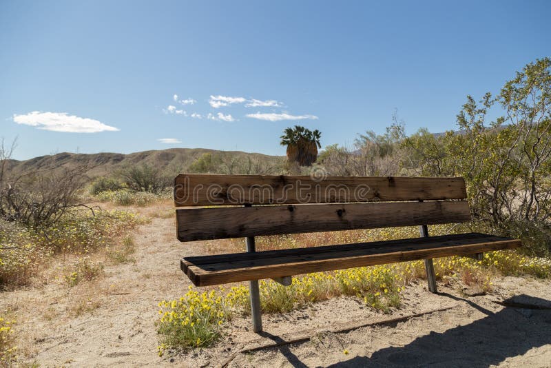 Bench in the Desert stock image. Image of landscape - 122041545
