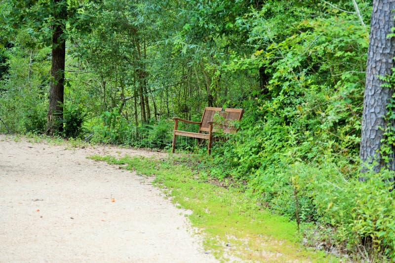 Bench on trail stock photo. Image of path, nature, side - 56326778