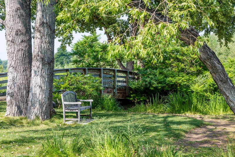 Bench by Tree and Bridge stock image. Image of river - 65546129