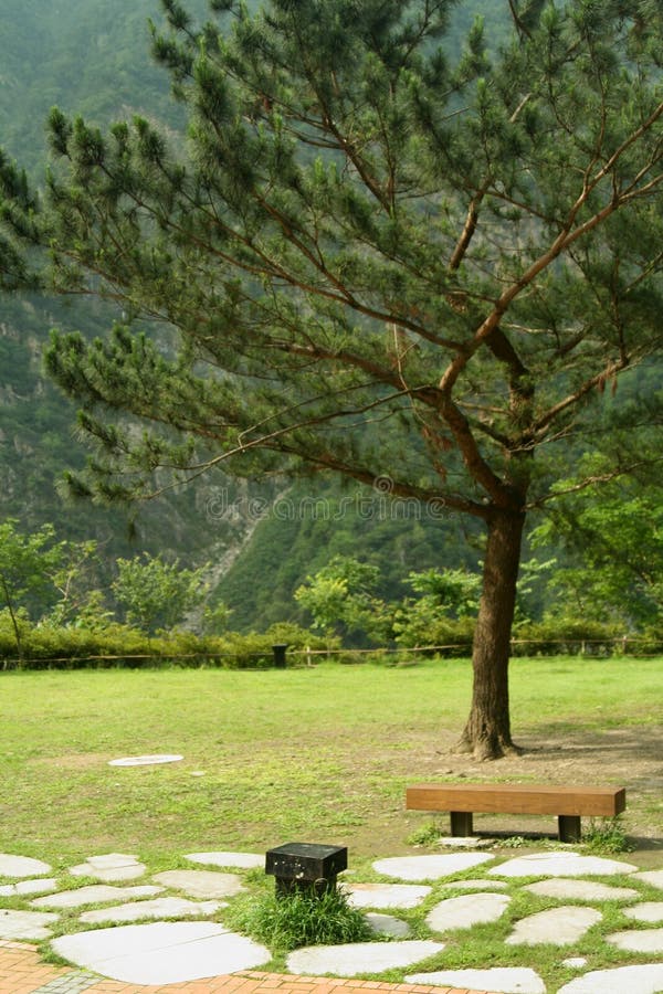 Bench and tree in park stock image. Image of short, landscape - 779801