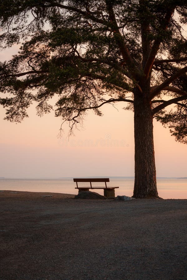 Bench and Tree Silhouette Viewing To Serene Lake Stock Photo - Image of ...