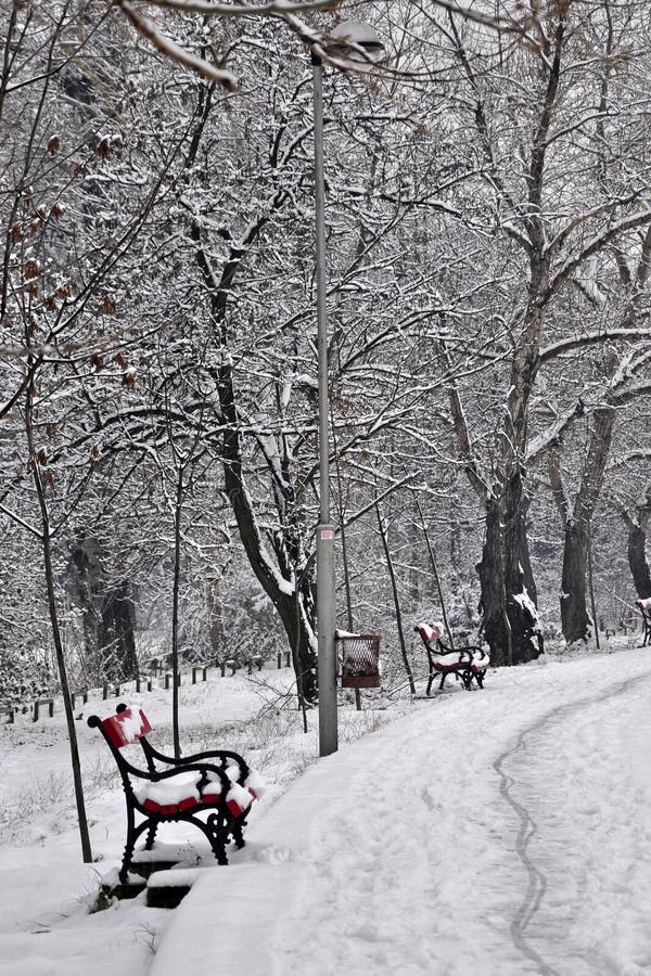 Christmas Park Bench stock image. Image of bench, christmas - 6764725