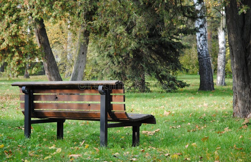 Bench and Trees in the Park Stock Image - Image of trees, leaves: 103906837
