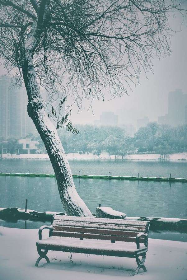 Snow lake stock photo. Image of water, nature, lake - 306414276