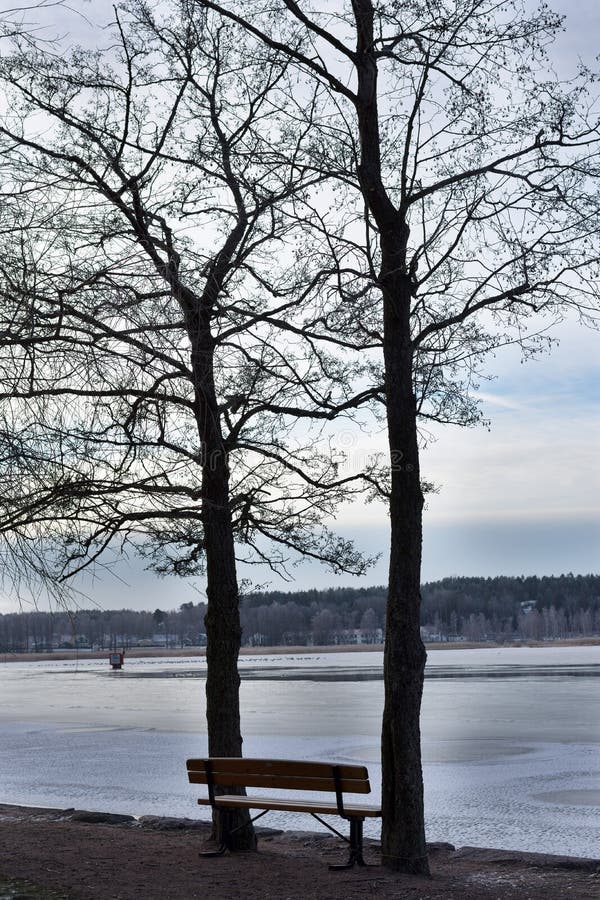 Bench between Two Trees in Winter Time Stock Image - Image of frost ...