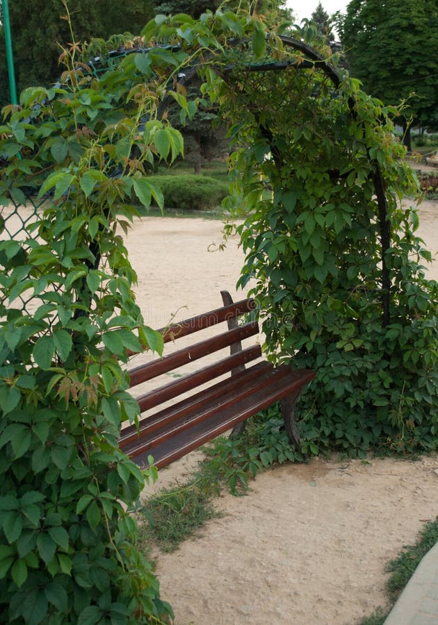 Bench stock image. Image of freshness, peaceful, park - 43583225