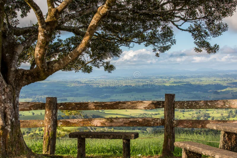 A Bench Under a Large Tree Overlooking the Landscape Stock Photo ...