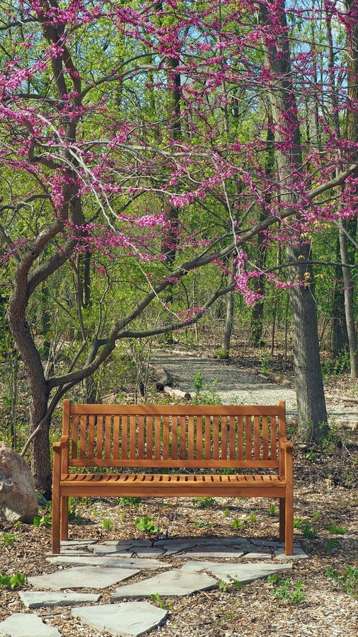 403 Bench Under Tree Flowers Park Stock Photos - Free & Royalty-Free ...