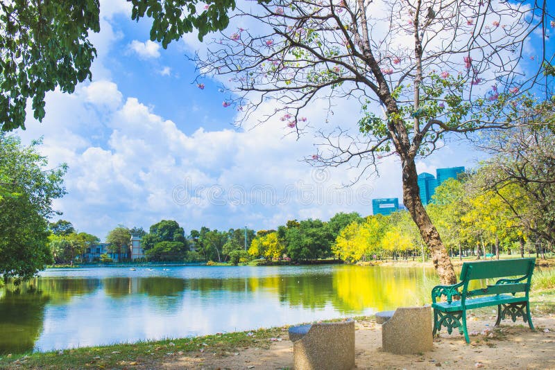A Bench Under a River with Nature Trees. Stock Photo - Image of grass ...