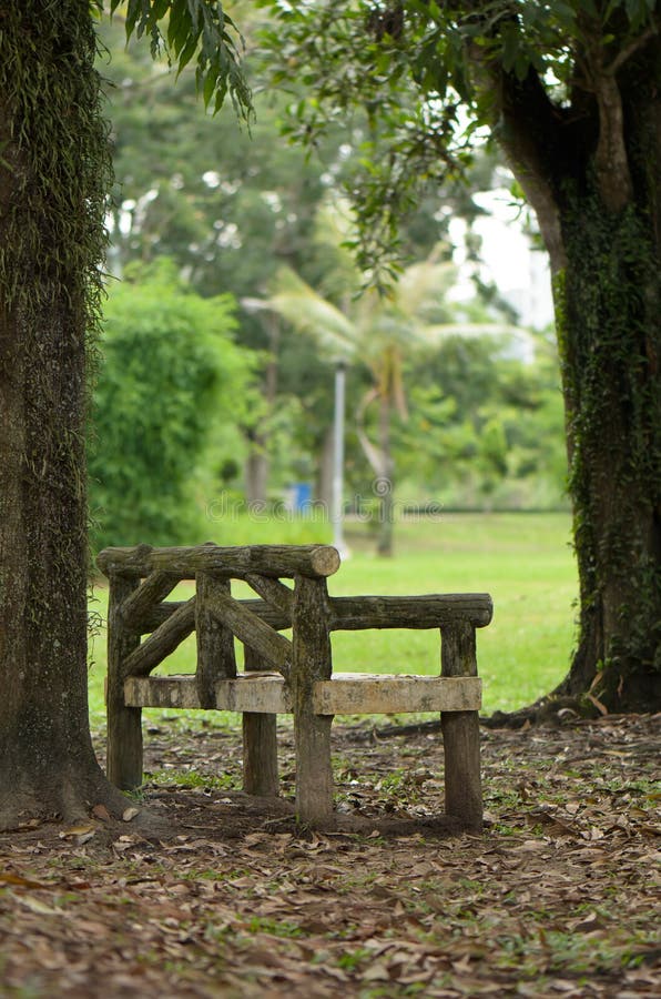 Bench Under The Tree Picture. Image: 33843356