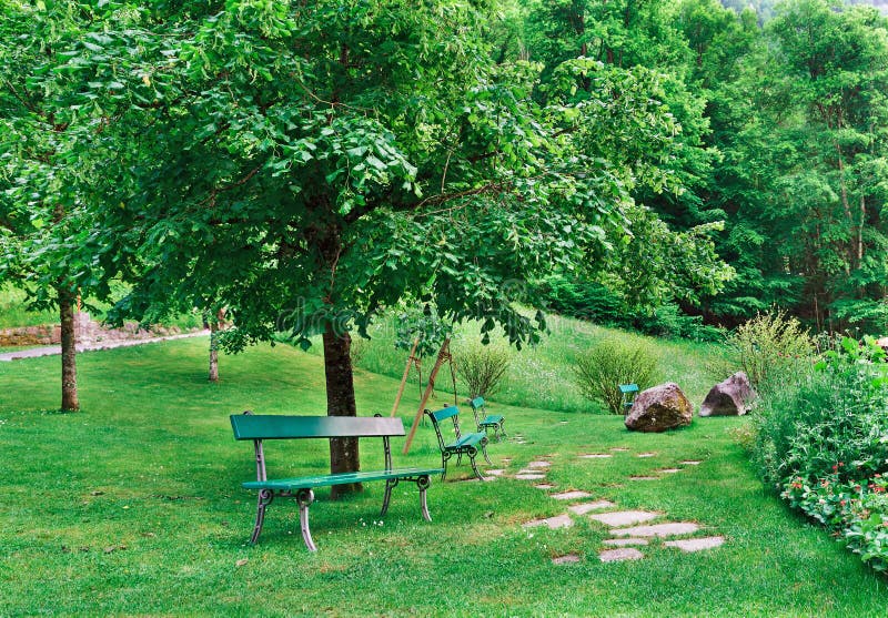Bench under a tree stock image. Image of grass, outdoor - 185651431