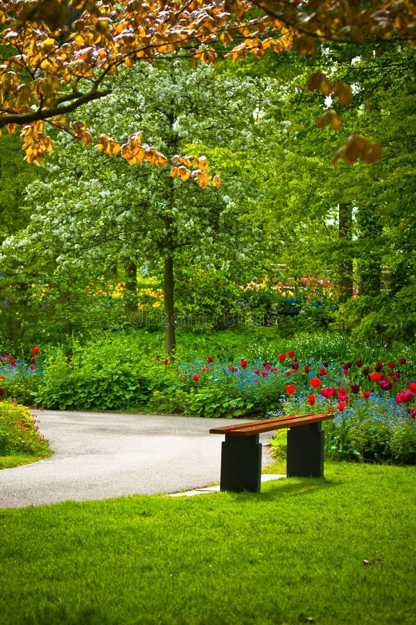 Bench Under a Tree with Flowers in a Park Stock Photo - Image of leaf ...