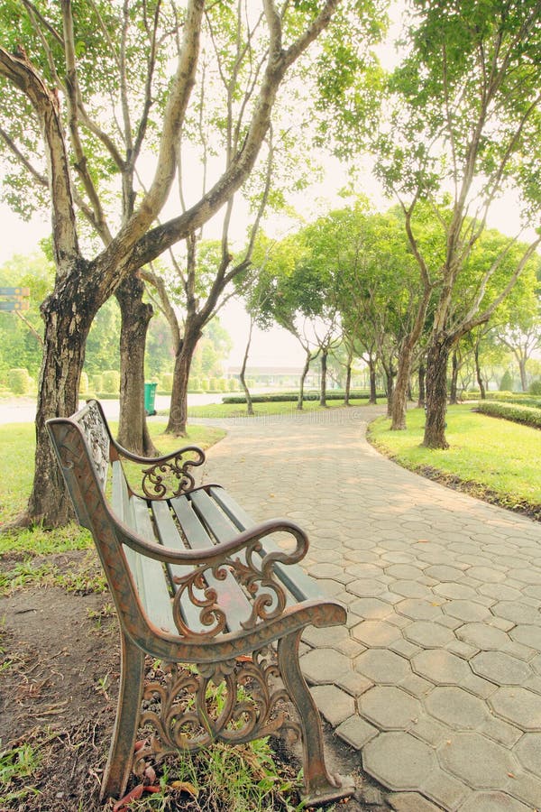 Bench under the tree stock image. Image of fresh, colorful - 67677103