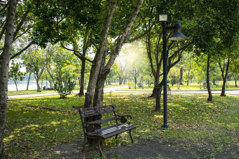 A Bench Under a Tree and Lighting in the Garden Park in Bangkok Stock ...