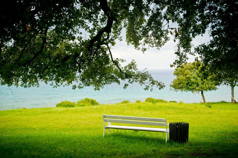 Bench under tree stock image. Image of flowering, mobile - 70070675